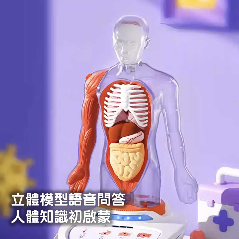 Science Can My Body Voice Pedia – Kidrise🧒🏻STEM Hong Kong Educational ...